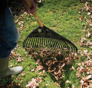 Best Garden Rakes UK - Soils & Leaves - UK Garden Reviews