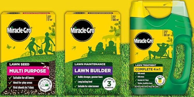 Miracle-Gro Evergreen Complete 4-in-1 Lawn Food Review - UK Garden Reviews